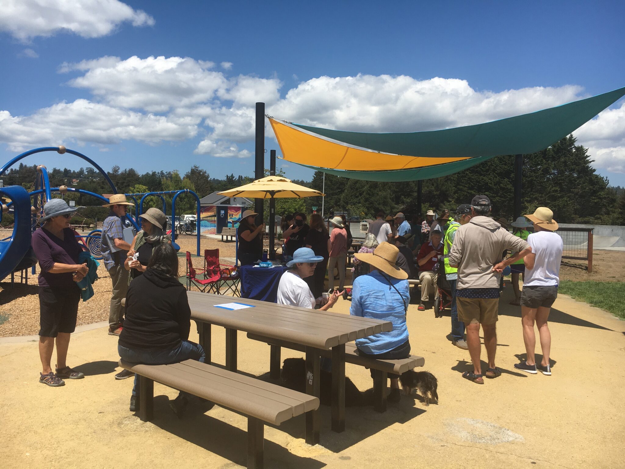 Activities – Seacliff Improvement Association